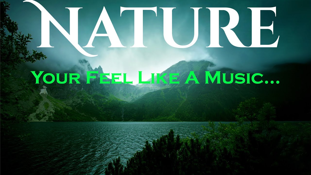 Nature Music | Soothing Symphony | Exploring the Tranquil World of ...