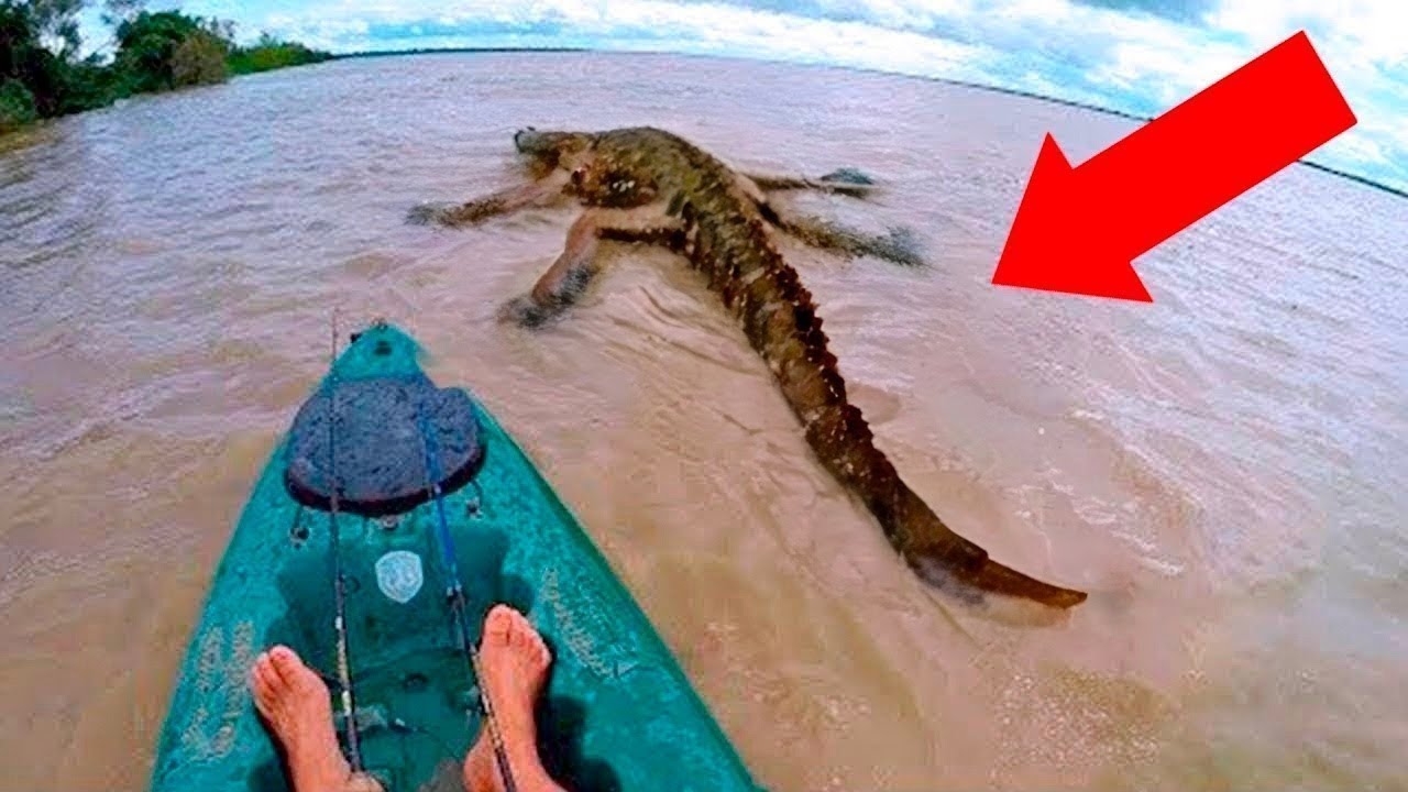 Scariest Amazon River Creatures Ever Found - YouTube