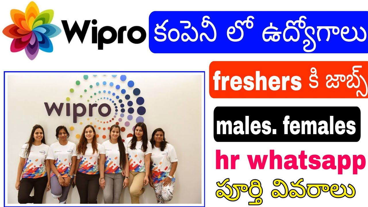 wipro company urgent recruitment for freshers virtual interviews full ...