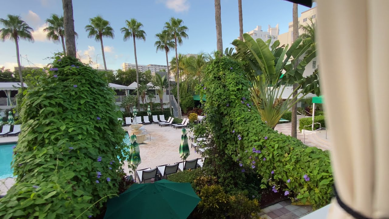 Kimpton Surfcomber Hotel | walking around the hotel pool, the beach ...