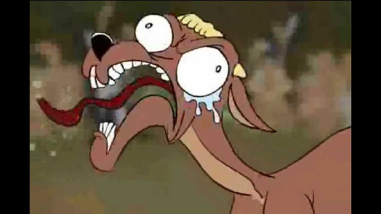 MVM - Bambee the real story - YouTube