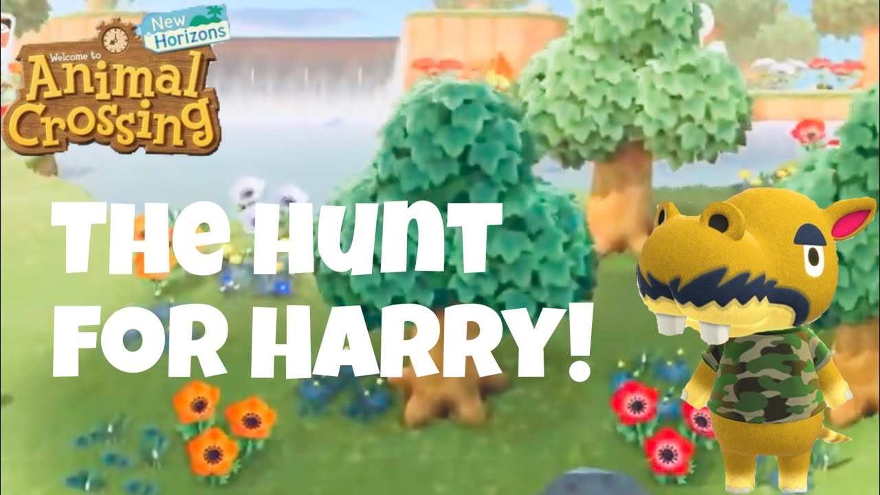 Hunting for Harry Animal Crossing (Animal crossing New Horizons Live ...
