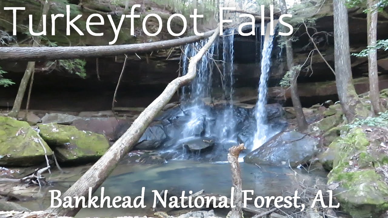 Turkeyfoot Falls, Bankhead National Forest, AL - YouTube