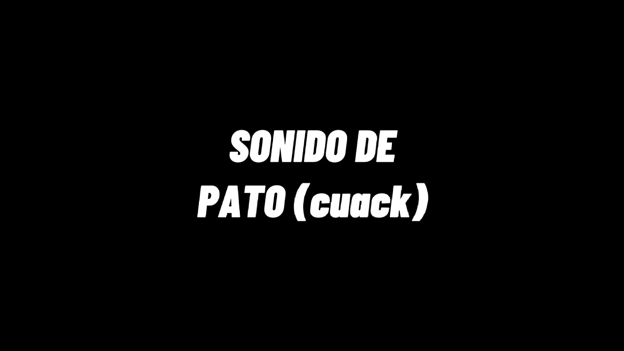 SONIDO DE PATO (cuack) - YouTube