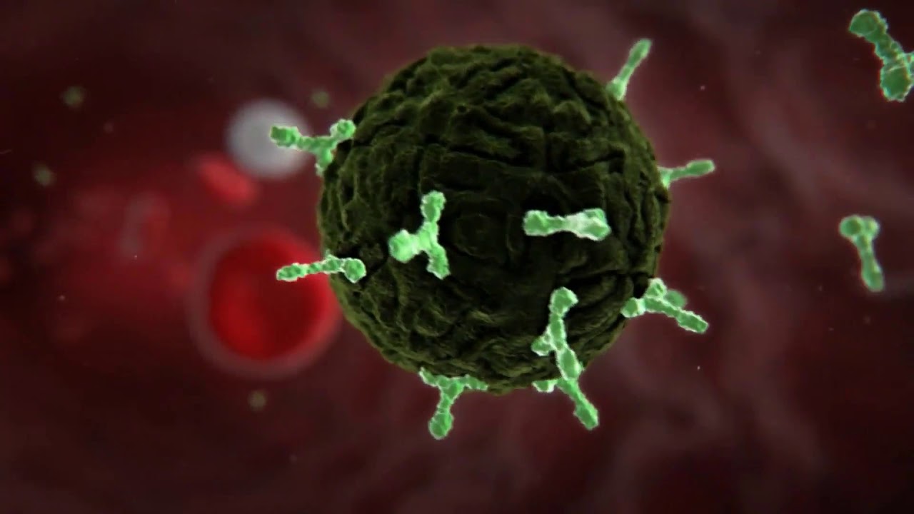 Cuáles son los diferentes tipos de infecciones virales? - YouTube