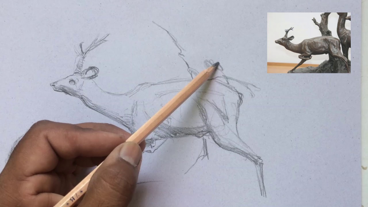 outline Drawing | Quick sketching | Drawing with Pencil | study of ...