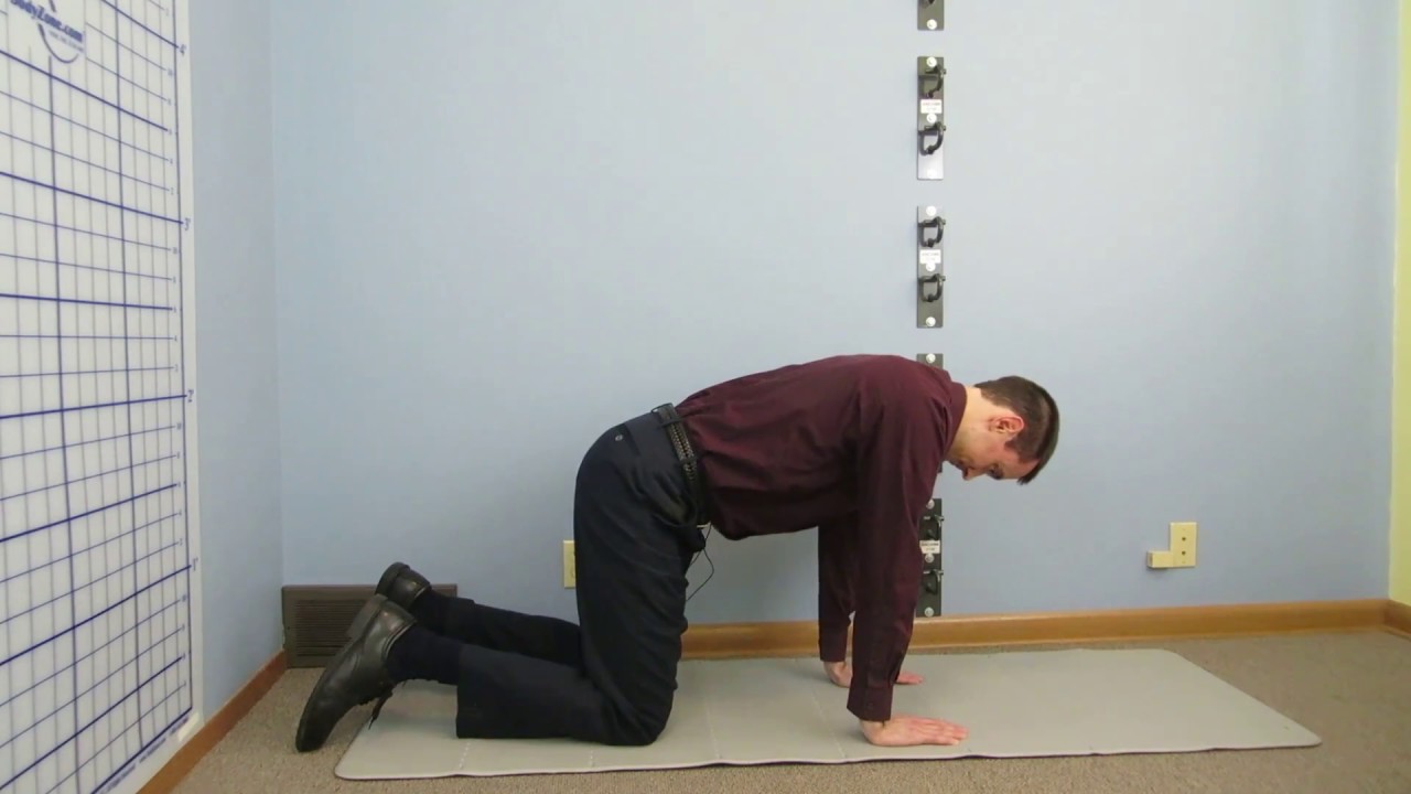 Cat Camel Stretch - YouTube