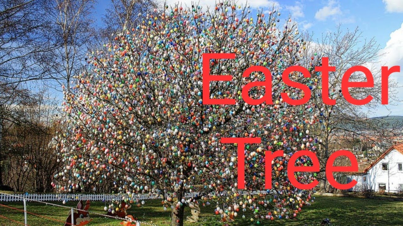 Easter egg tree /Germany/Ostereierbaum /Saalfelder Ostereierbaum ...