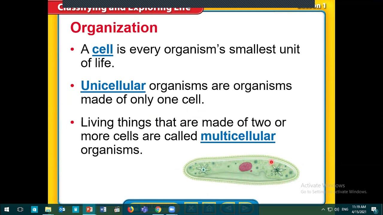 Science G7: Chapter 1 Lesson 1 (Cells and Life) 15/4/2021 - YouTube