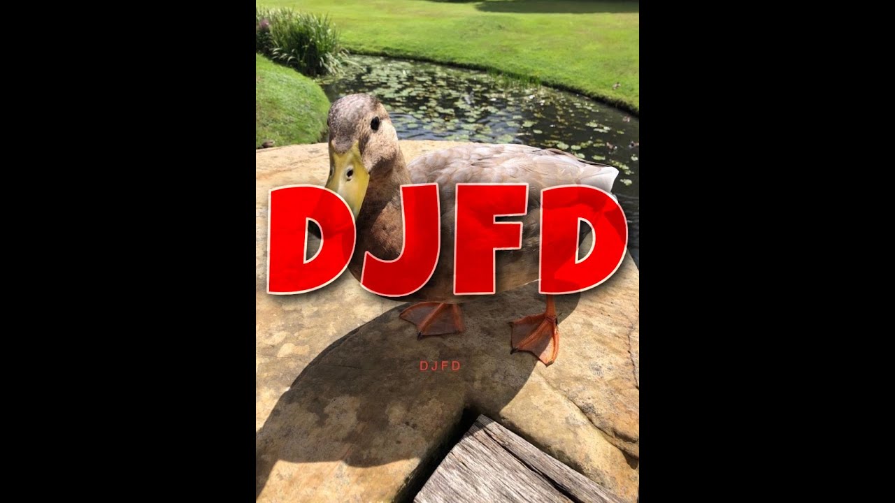 D J F D on you tube - YouTube