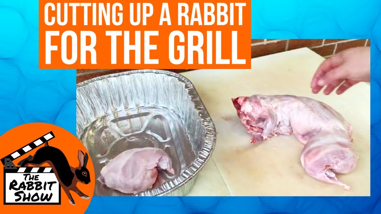 Cutting up a rabbit for the grill - YouTube