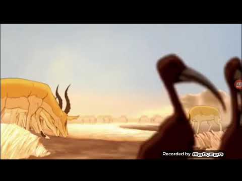 Adumu HD 720p - YouTube