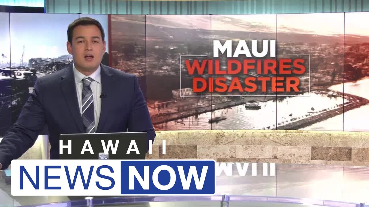 Land restoration efforts in Upcountry Maui impacted by fires show ...