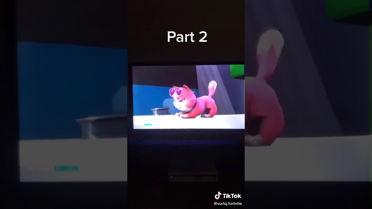 Meow schools is so strong😲😲😲😲😲😱😱😱😱😱😱🥶🥶🥶 - YouTube