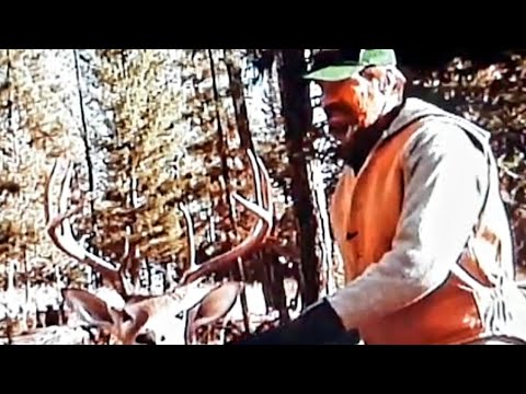 Decoying whitetail deer - YouTube