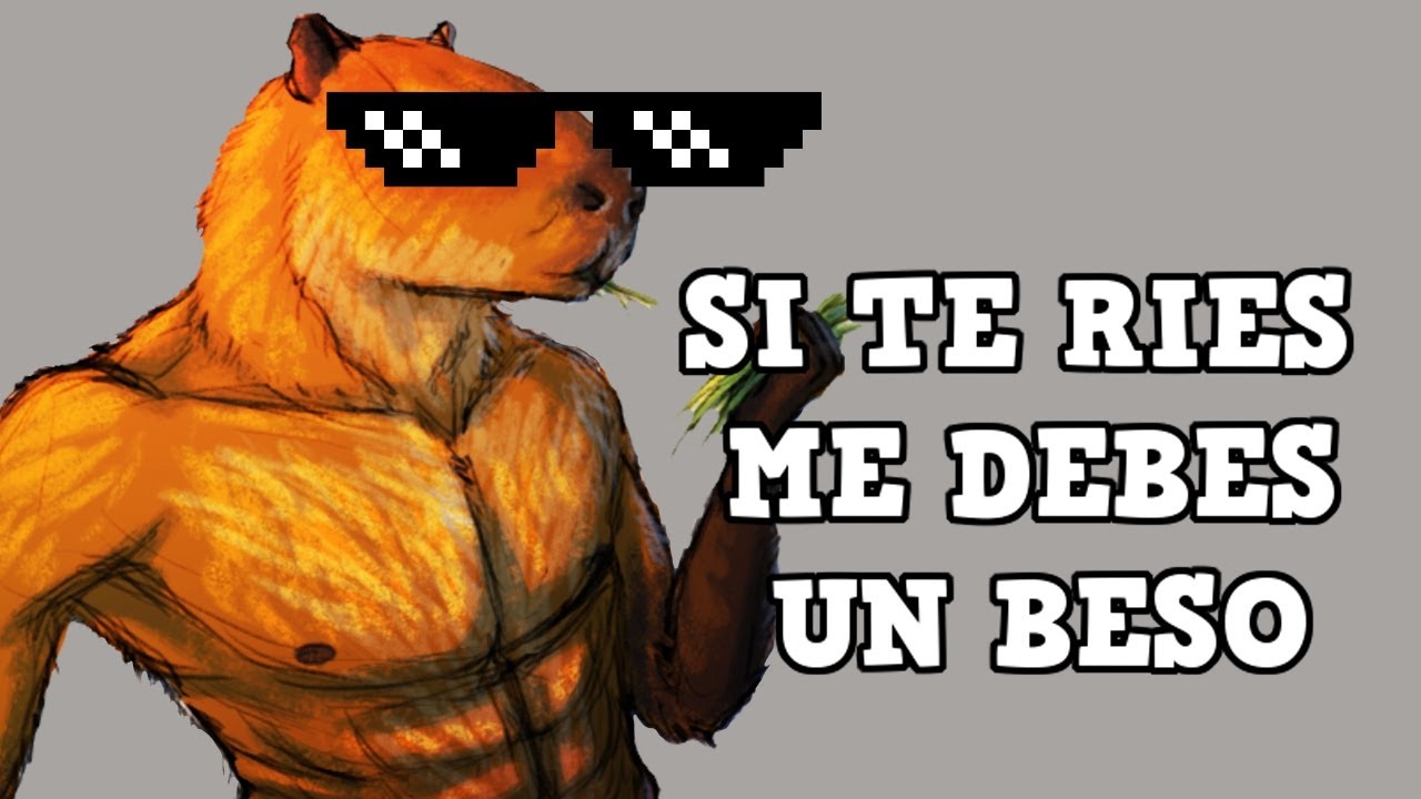 SHITPOSTING COMPILATION V1 | RANDOM MEMES - YouTube