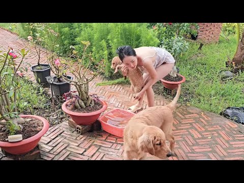 Mới sáng sớm là rửa rồi