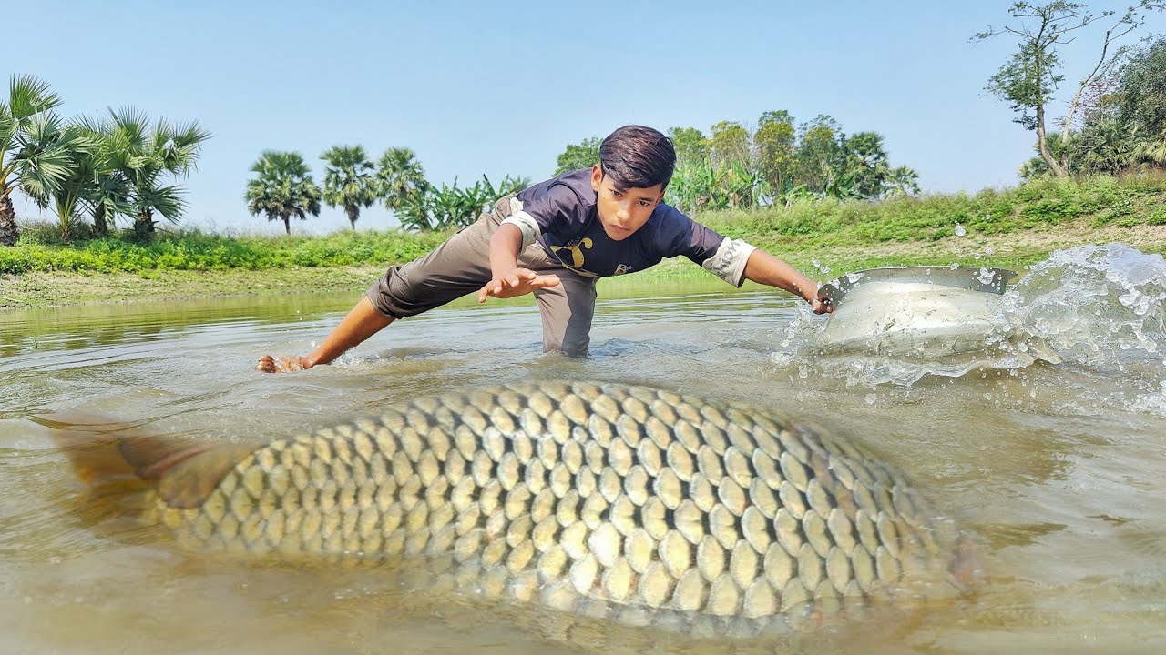Best Hand Fishing In The World 2024 | Little Boy Hunting Fish By Hand ...
