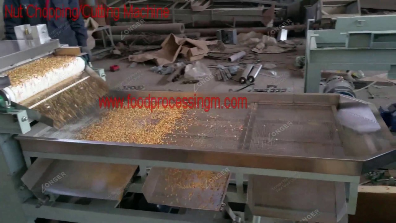 Nut Processing Machinery|peeling|strip cutting|chopping|slicing|butter ...