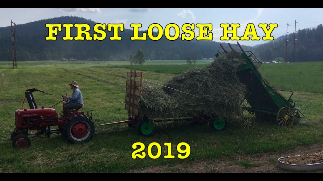 First Loose Hay of 2019 - YouTube