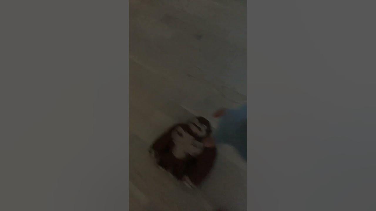 Shity monkye - YouTube