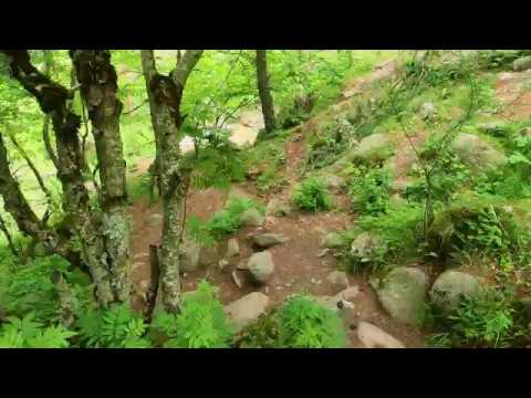 Водопад Попина лъка - The Popina luka waterfall - YouTube