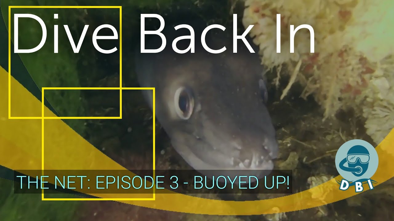 The Net | Episode 3 - Buoyed Up! - YouTube