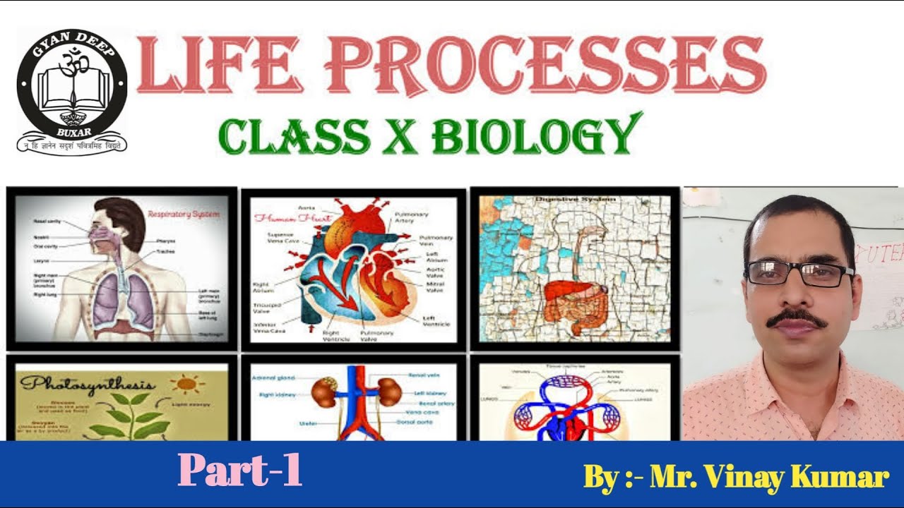 Class X, Life process ( Digestive system) Video - 2 - YouTube