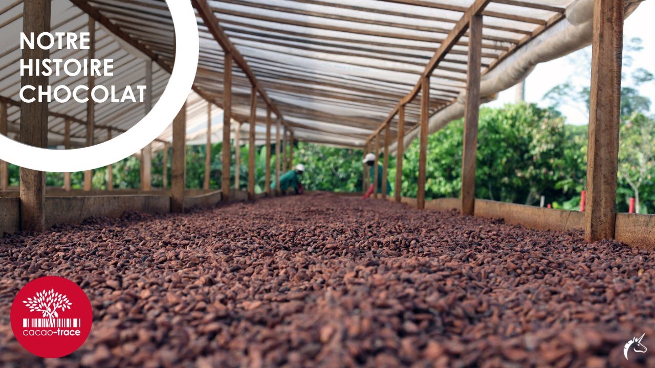 Notre histoire Chocolat - Notre programme Cacao-Trace - YouTube