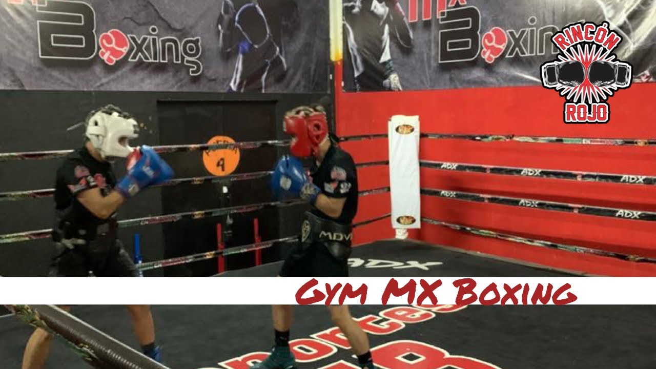 Gym MX Boxing - YouTube