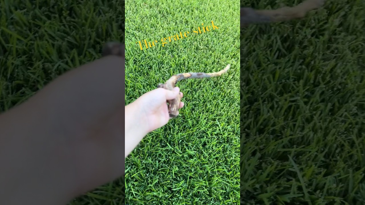 The perfect stick - YouTube