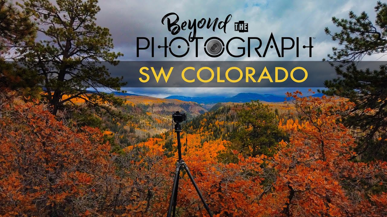 Color In Colorado Nature Photography - YouTube