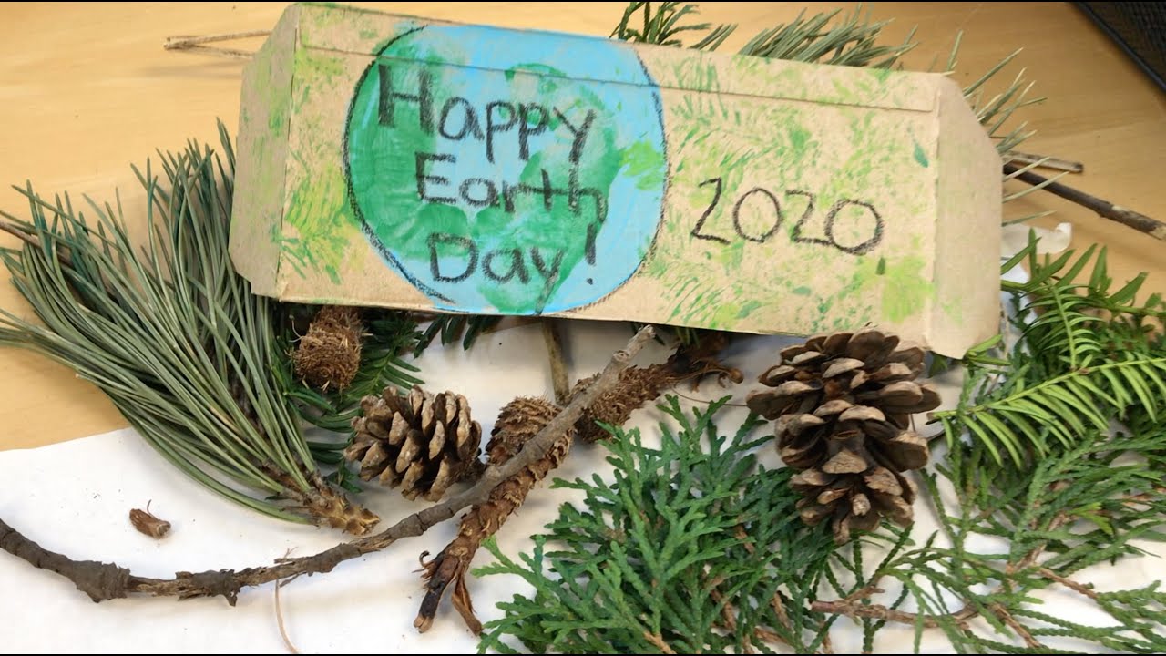 Earth Day 2020 Rock Painting Project - YouTube