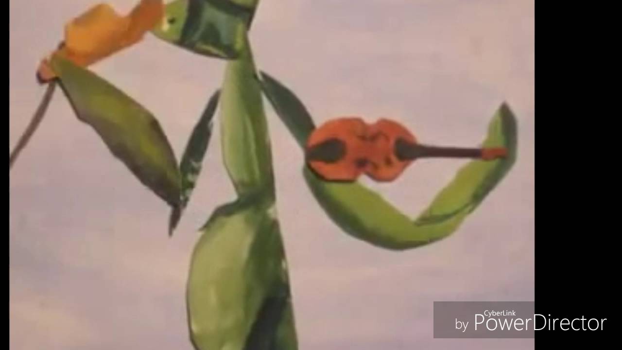 La Campamocha - YouTube