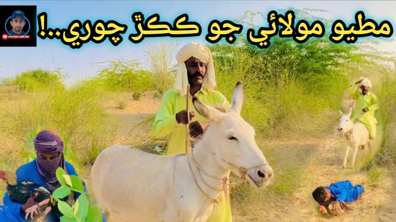 Mutio Molai jo murgo chorii..!! || Sindhi Comedy Video || Mutio Molai ...