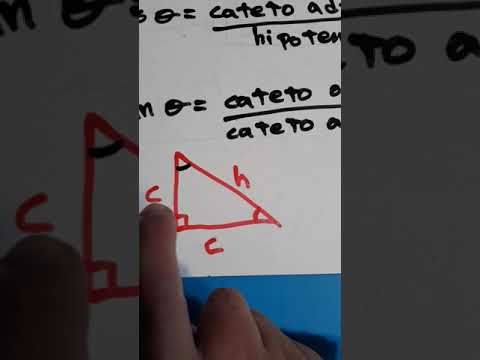 Tipos De Catetos • TIPOSDE