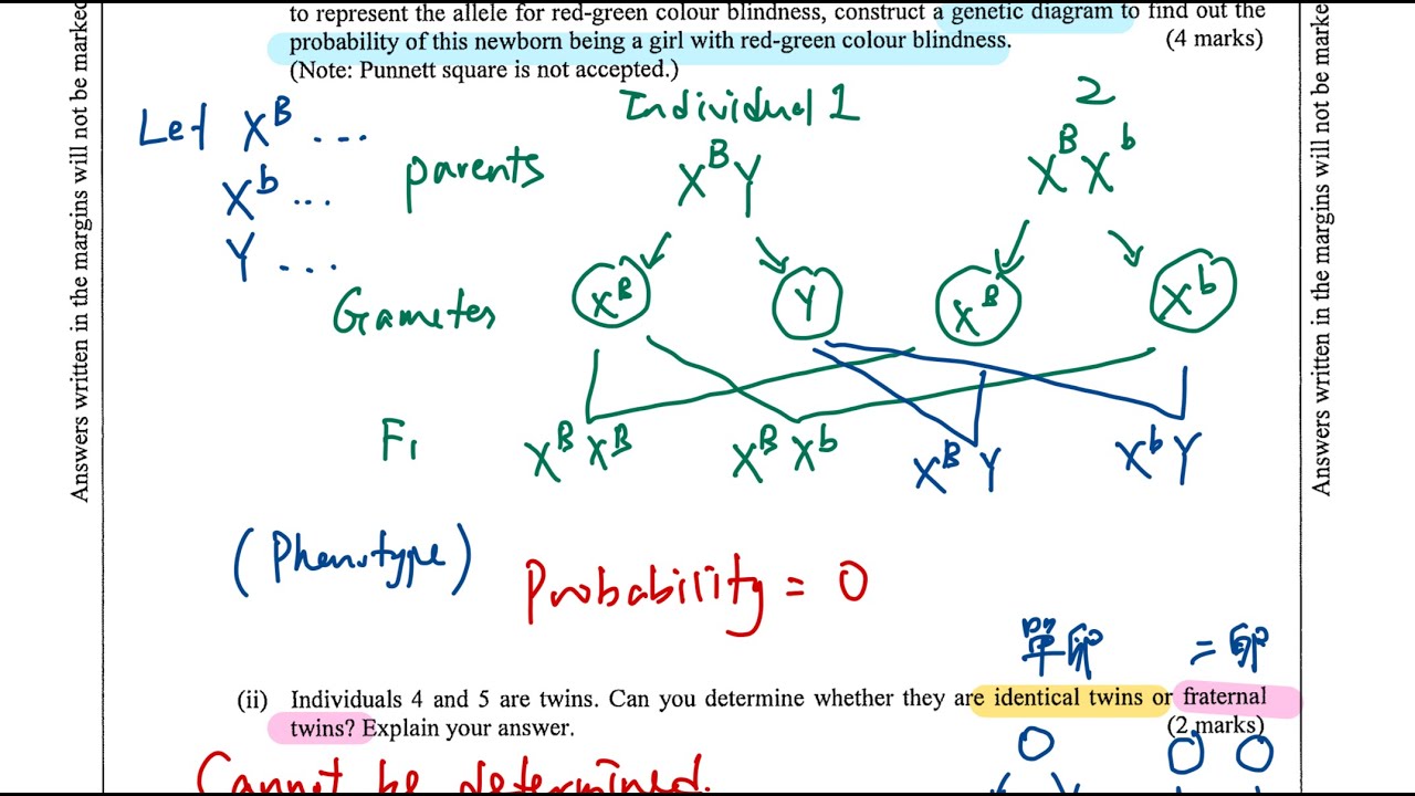 2023 DSE Biology 生物 Paper 1B Q6cd (How to draw a Genetic diagram ...
