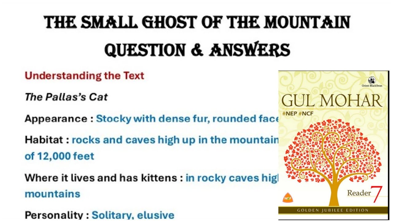 The Small Ghost of the Mountain class 7 question answers with exercise ...