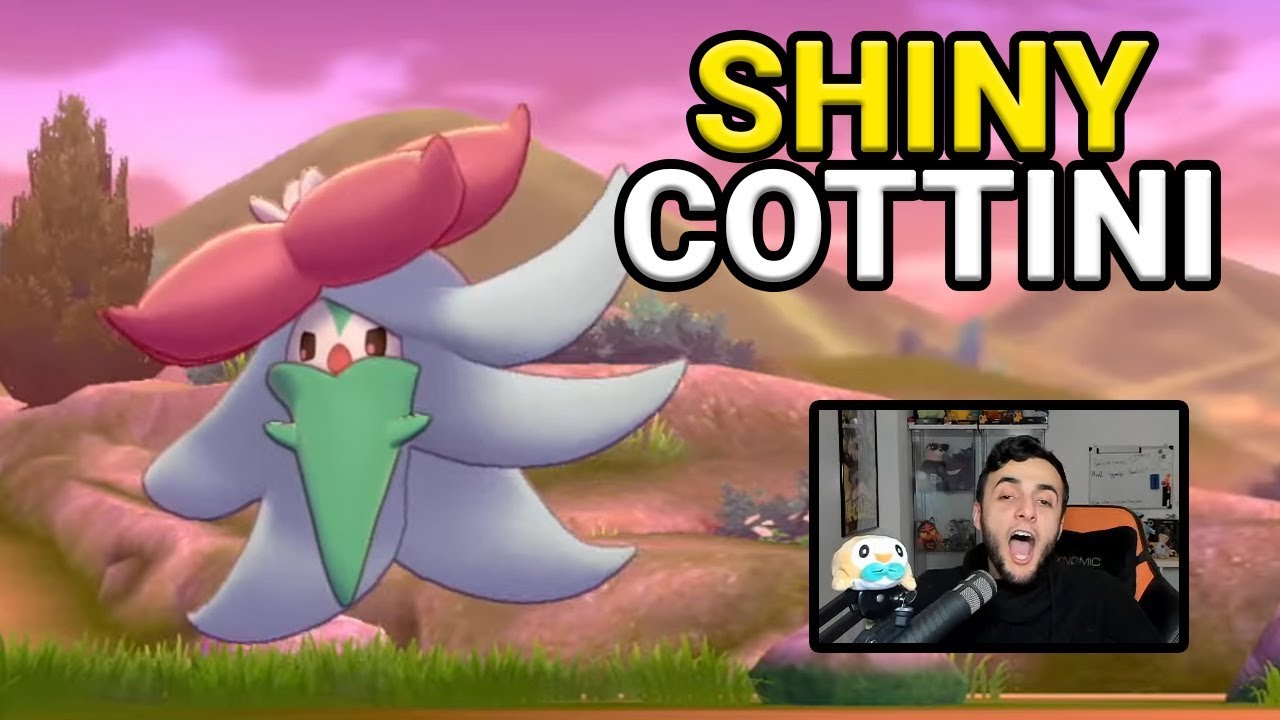 Shiny COTTINI nach 3024 Encountern Reaction! || Pokémon SCHWERT ...