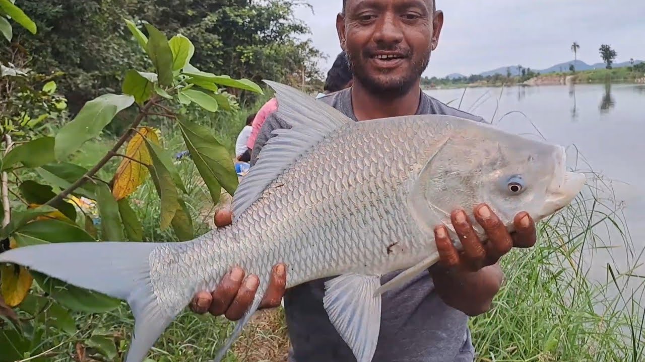 fishing videos catla fishess catching - YouTube