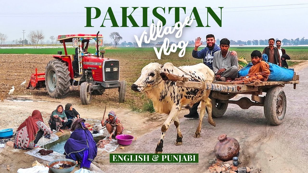 Village Food in Pakistan BIG PAKISTANI BREAKFAST in Rural Punjab ...