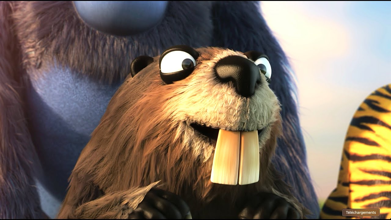 O Castor | Turma da Floresta (S03E05) | Desenho animado - YouTube