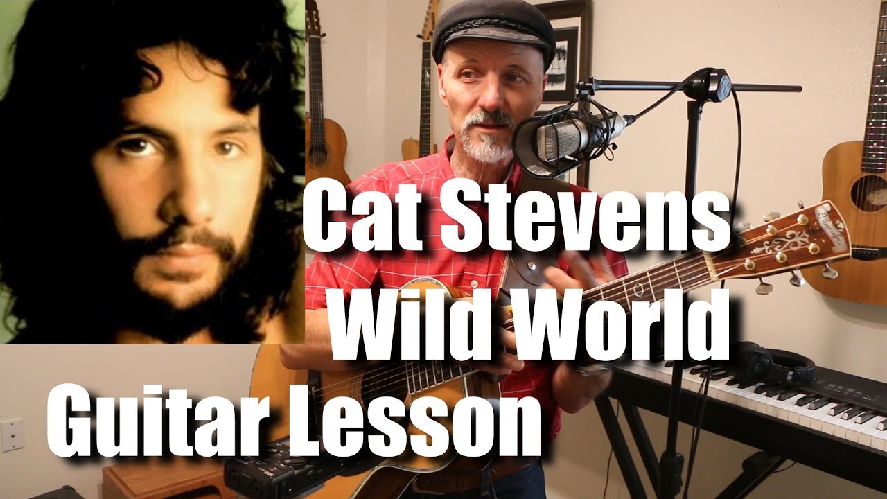 Wild World Cat Stevens Guitar Lesson - YouTube