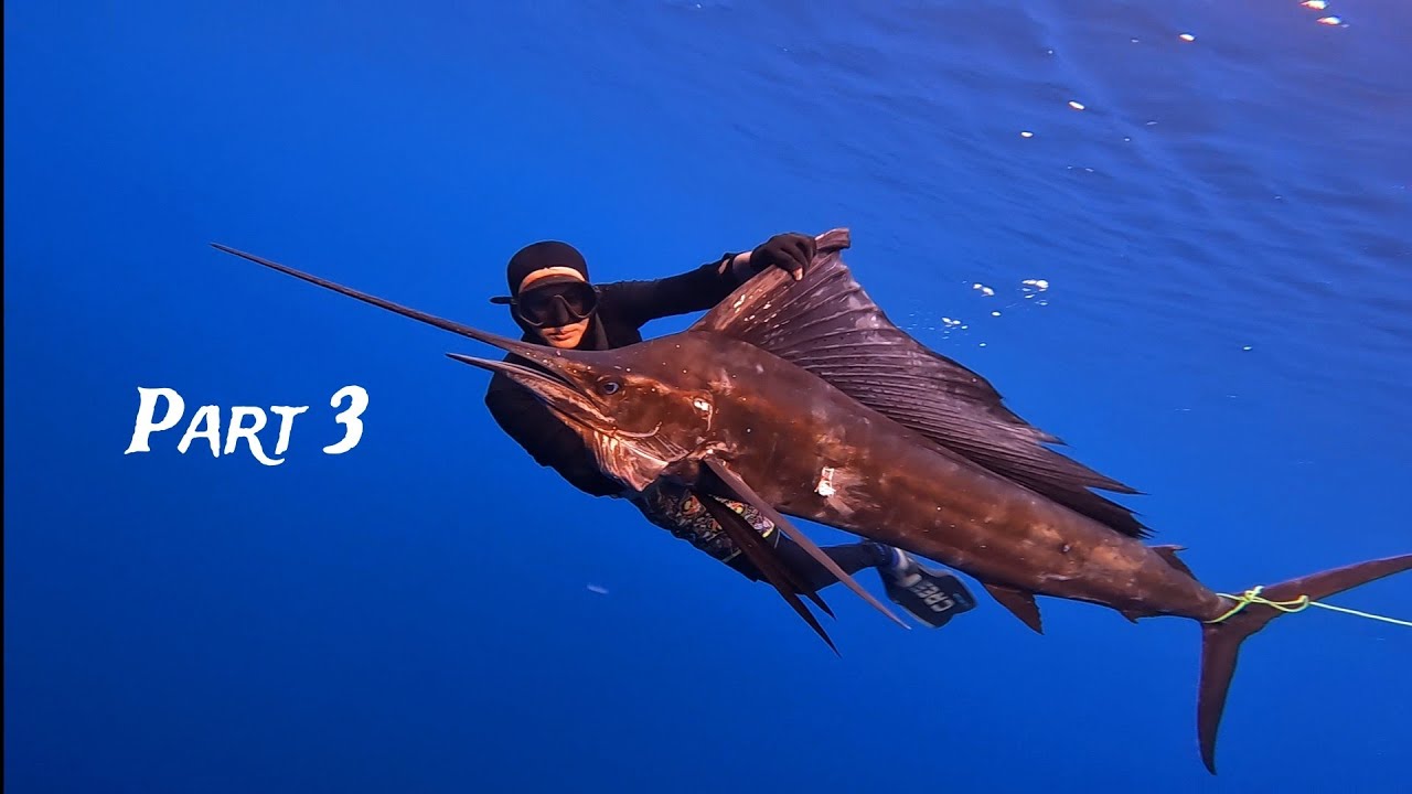 SPEARFISHING MARLIN SAILFISH /IKAN LAYARAN PART 3 - YouTube