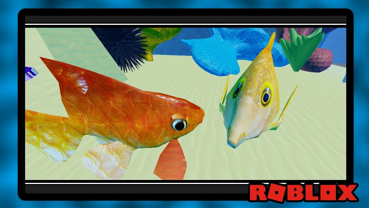 What happens in a fish tank (Roblox) - YouTube