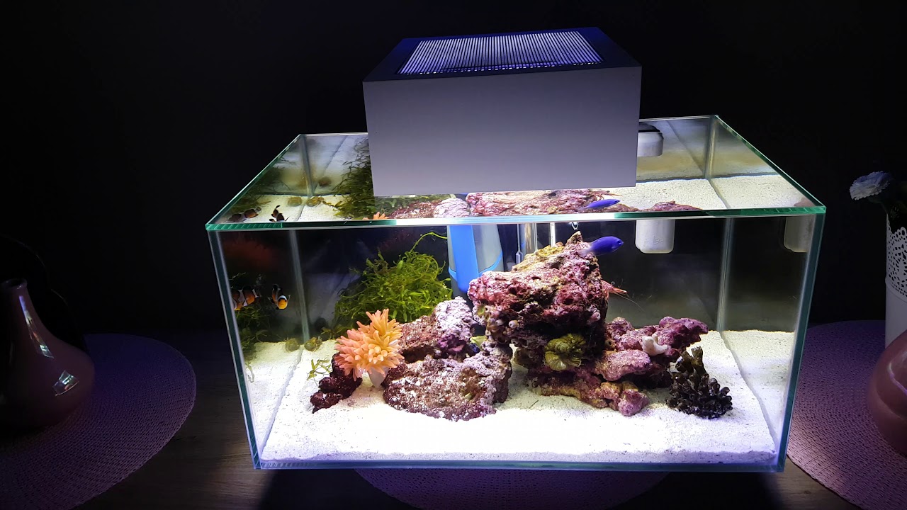 fluval edge light mod DIY - YouTube