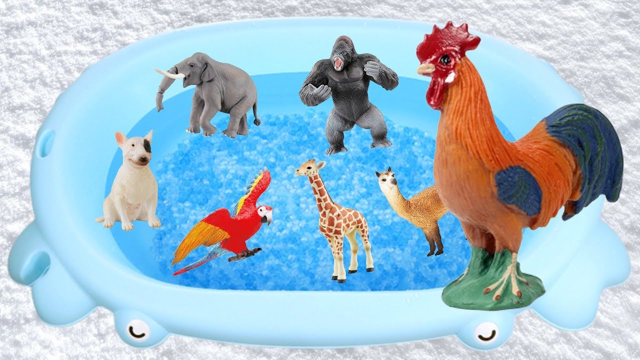 Wild And Farm Animals For Kindergarten Learn Animal Names Toys For Kids Lum Sum Kids YouTube wild-and-farm-animals-for-kindergarten-learn-animal-names-toys-for-kids-lum-sum-kids-youtube