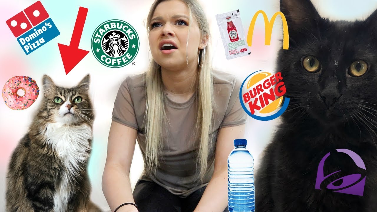 Letting My CATS Decide What I Eat For 24 HOURS! (MEAN Starbucks ...