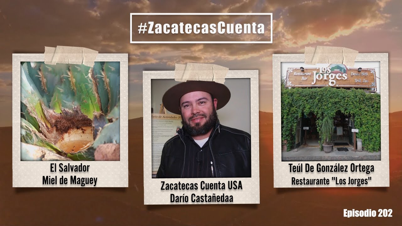 ZCE202 | Zacatecas Cuenta | Restaurante, Miel de Maguey y Darío ...