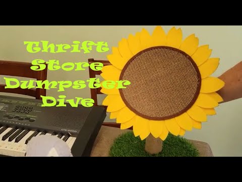 Goodwill Dumpster Dive Unusual Finds Frugal Living #dumpsterdiving # ...